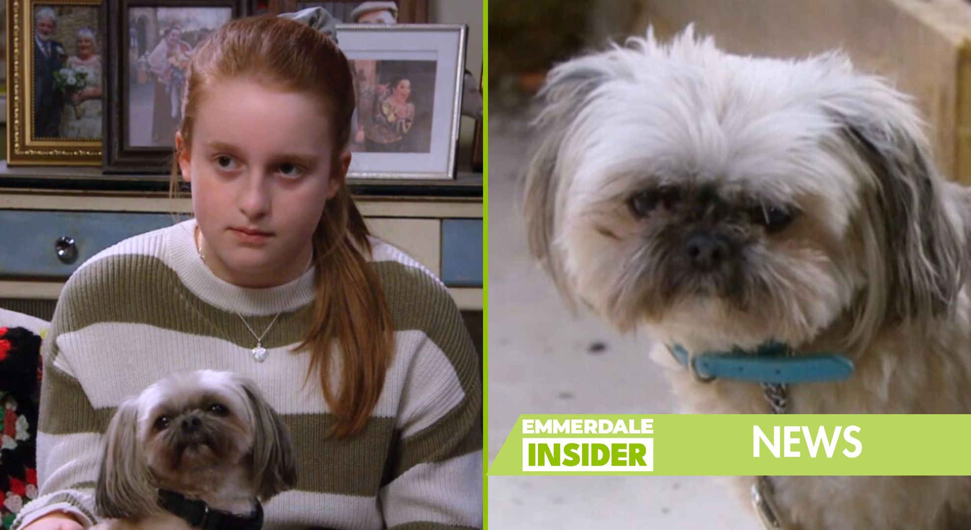 Emmerdale fans are all saying the same about Piper the dog's return ...